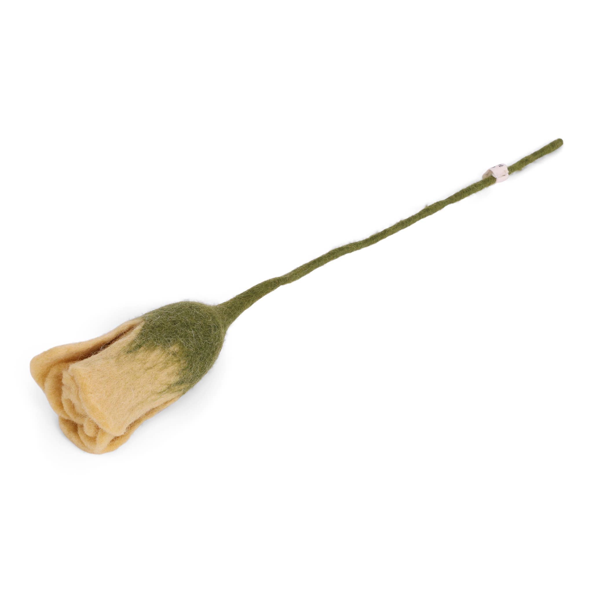 Tulip - Dusty Light Yellow – Koraa
